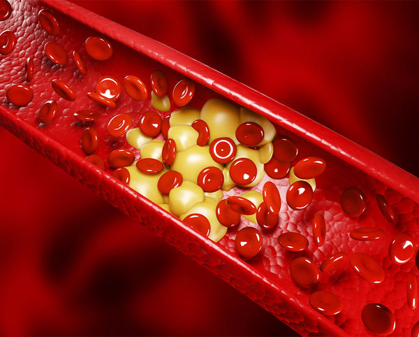 All You Need to Know About Normal Cholesterol Levels UK - NMNsify